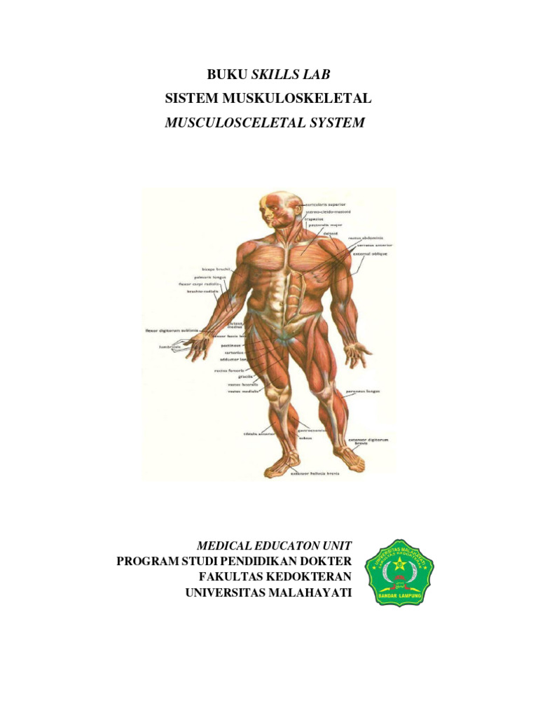 Buku Skilllab Musculoskeletal 23 | PDF
