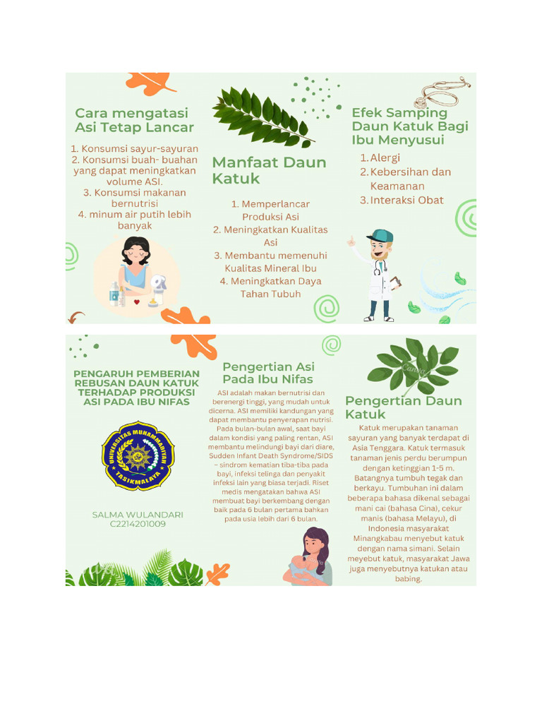 Leaflet Sap Daun Katuk 2 | PDF