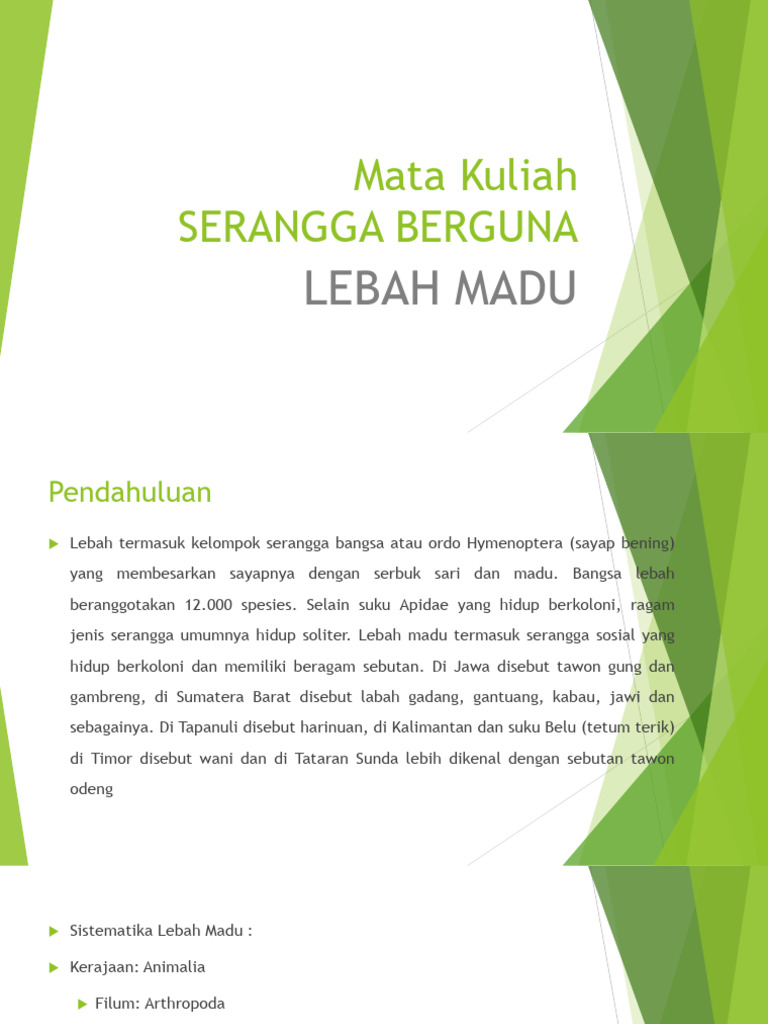 Pertemuan Kelima - Lebah Madu | PDF