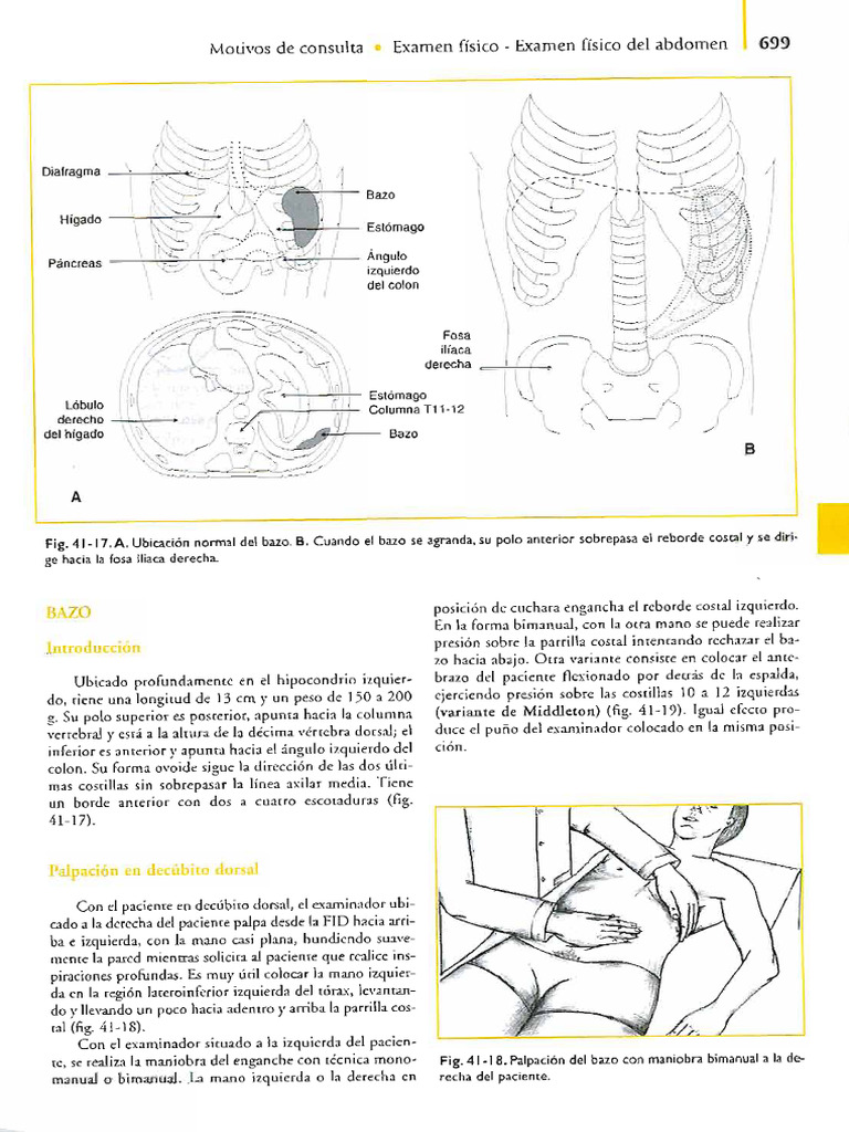 Semiología de Bazo - Argente Alvarez. | PDF