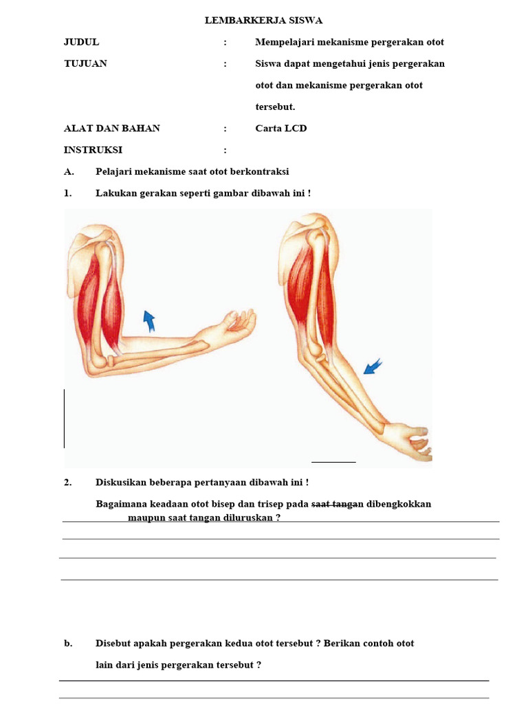 LKS Kontraksi Otot-1 | PDF | Kajian Bahasa Asing | Metode & Bahan Ajar