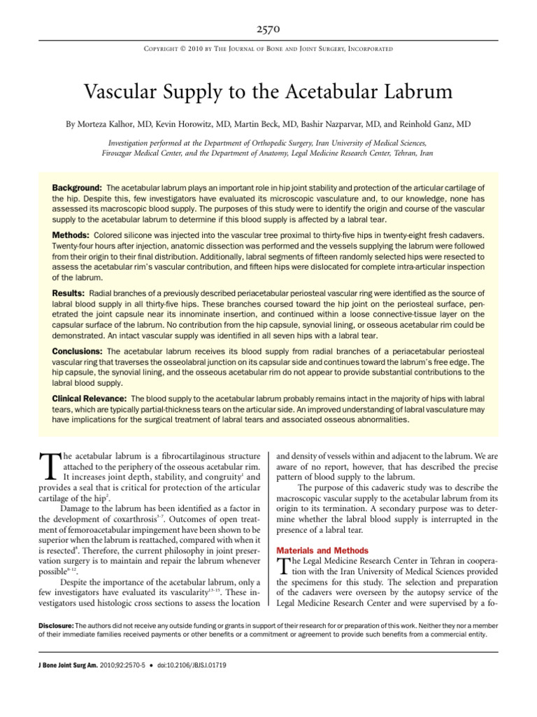 Vascular Supply To The Acetabular Labrum | PDF | Hip | Blood Vessel