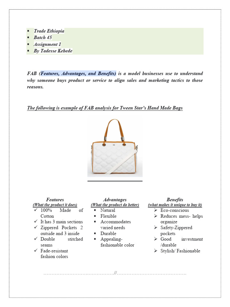 Assignment 1 FAB Analysis Tadesse Kebede | PDF