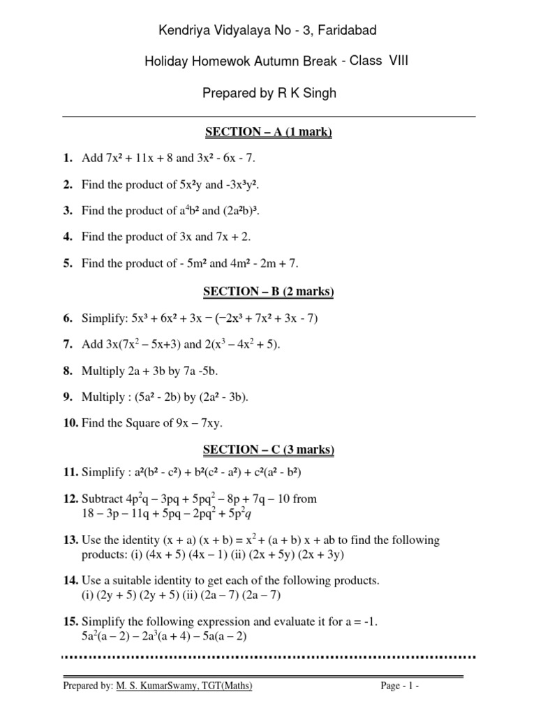 Maths-Class-Viii-Holiday Homework | PDF