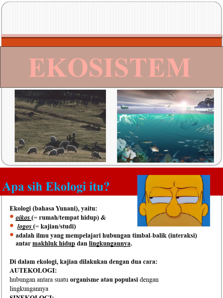 My ECOSYSTEM | PDF