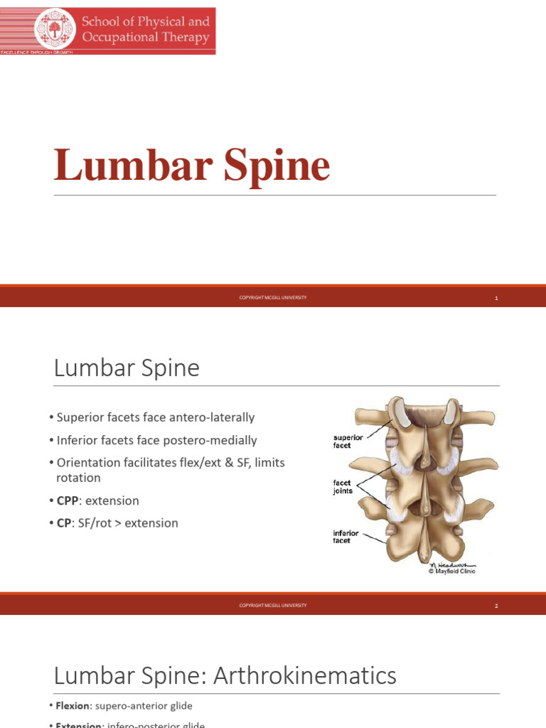LX Spine Assessment and Treatment | PDF | Anatomical Terms Of Motion ...