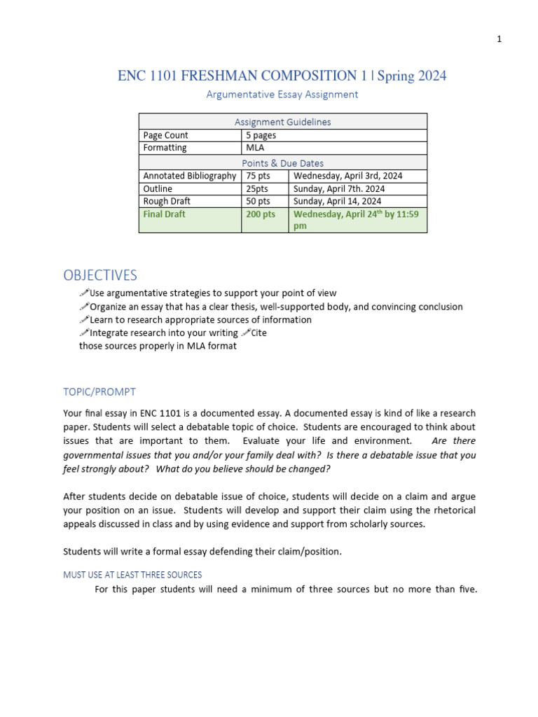 Argumentative Essay Guidelines for ENC 1101 | PDF | Essays | Plagiarism