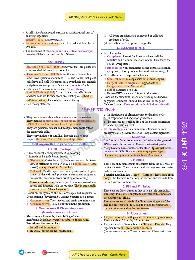 Overview of Cell Theory and Structure | PDF | Cell (Biology) | Cell ...