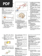 10th Cbse Bio Chapter 2 Notes | PDF | Neuron | Nervous System