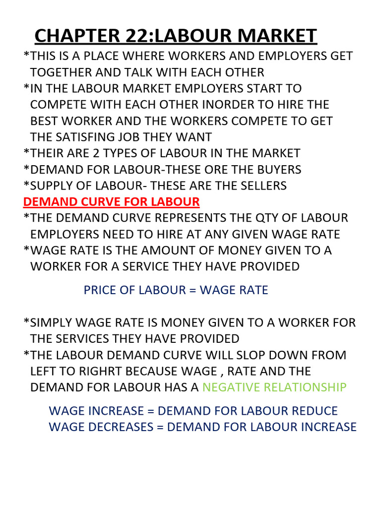 Labour Market Dynamics Explained | PDF | Labour Economics | Supply ...