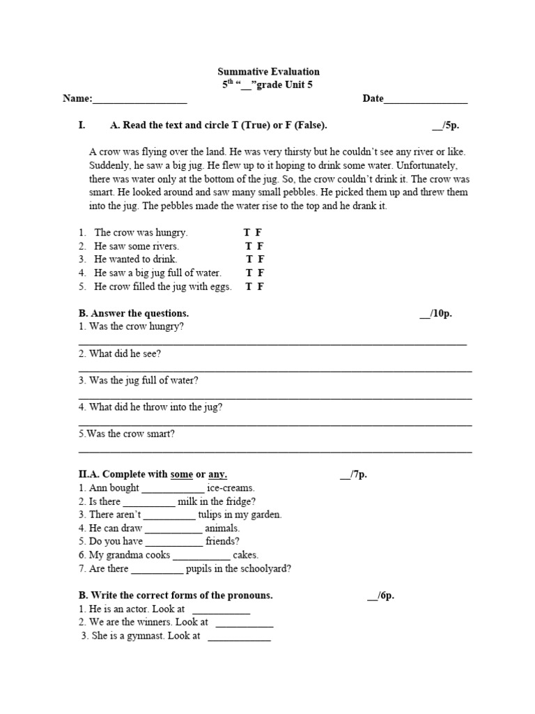 Summative Evaluation 5 Grade Unit V | PDF