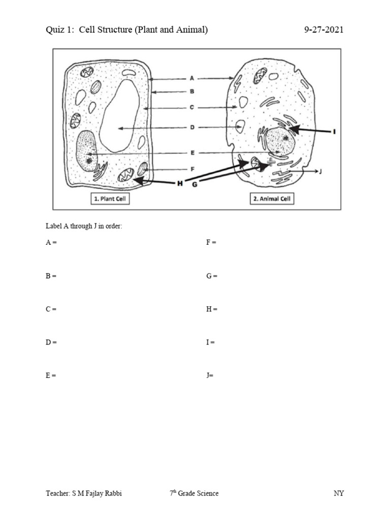 Cell and Plant Stucture | PDF Cell and Plant Stucture | PDF