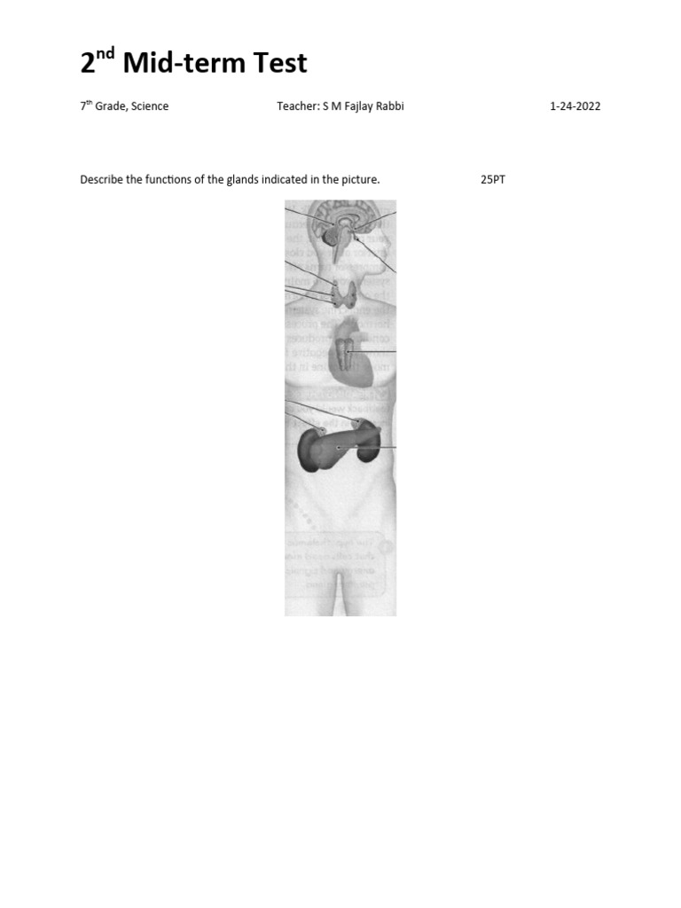 7th Grade Science Midterm | PDF