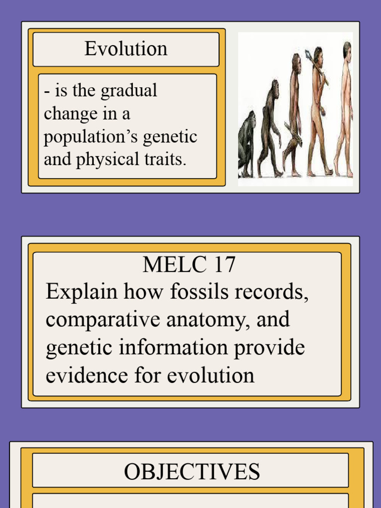 Evidences of Evolution - Fossil | PDF
