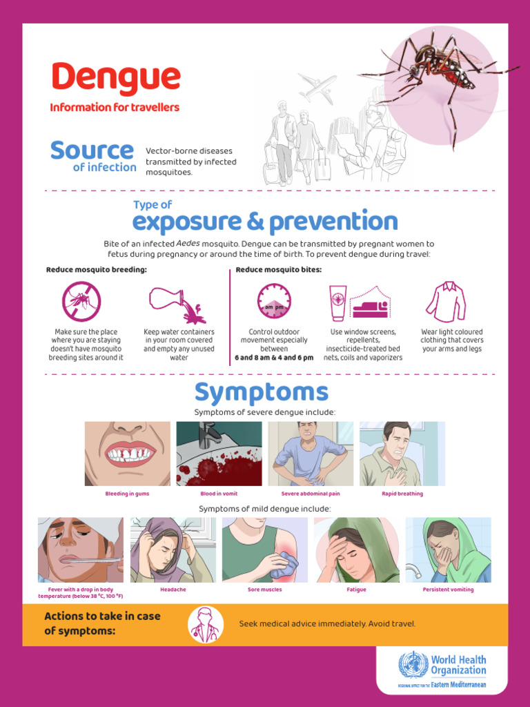 Atividade Chart Dengue | PDF