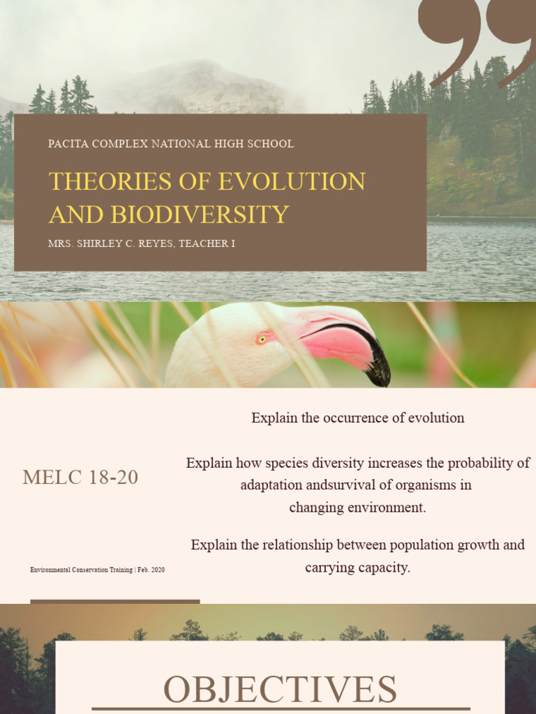 Theories of Evolution and Biodiversity | PDF | Natural Selection ...