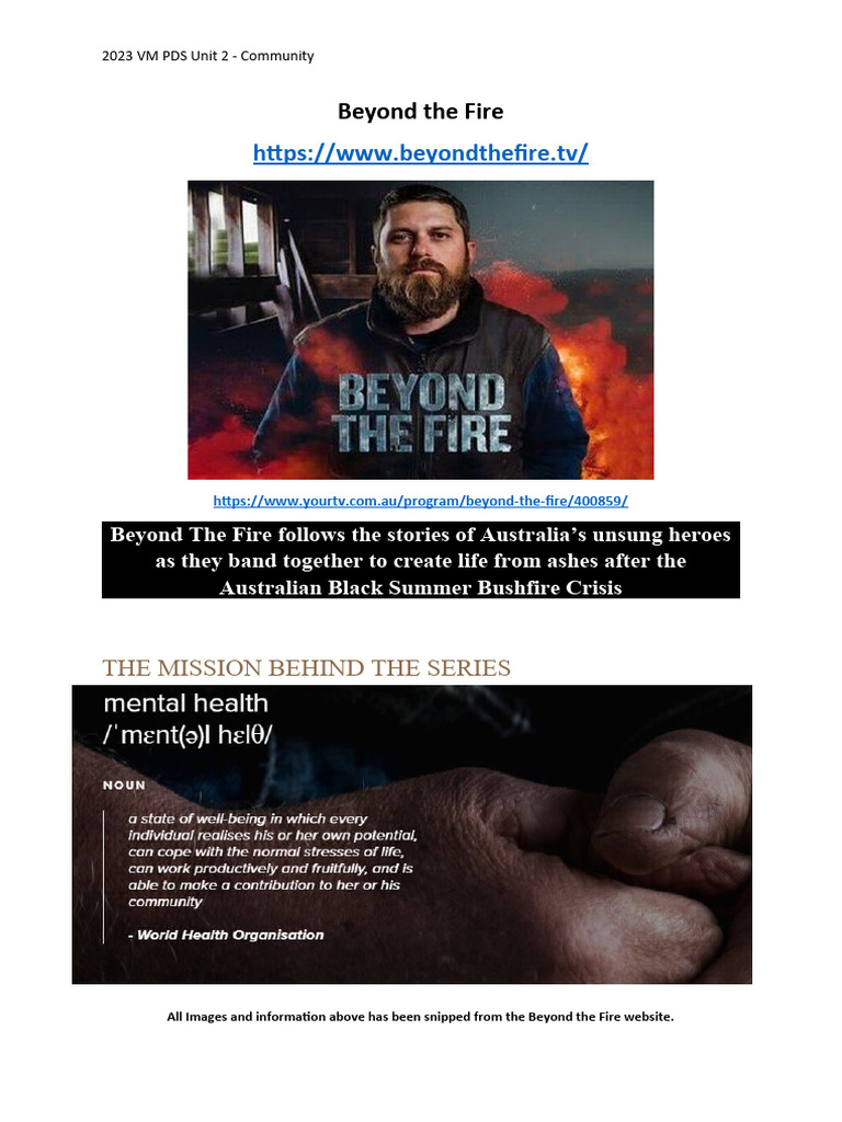 PDS - Beyond the Fire | PDF | Psychological Resilience | Emotions