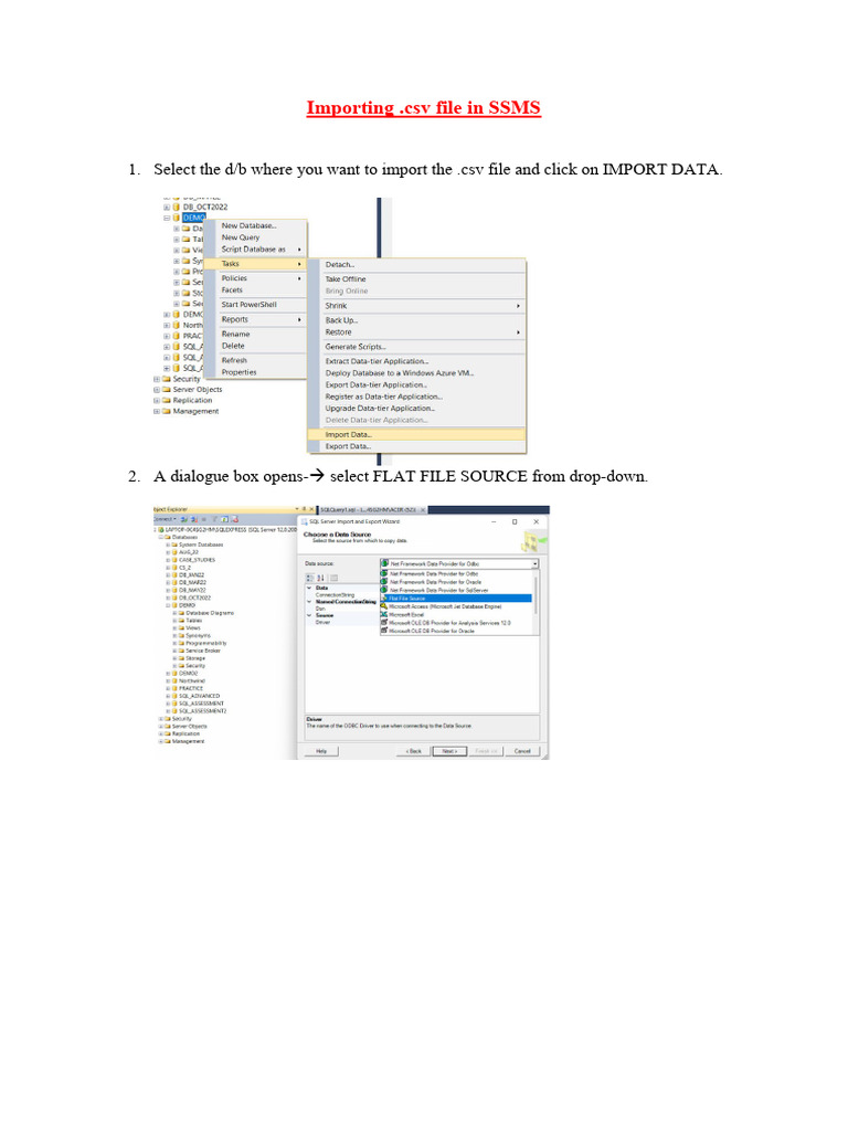 SQL Dataset Importing Steps - 1710837475969 | PDF | Computers