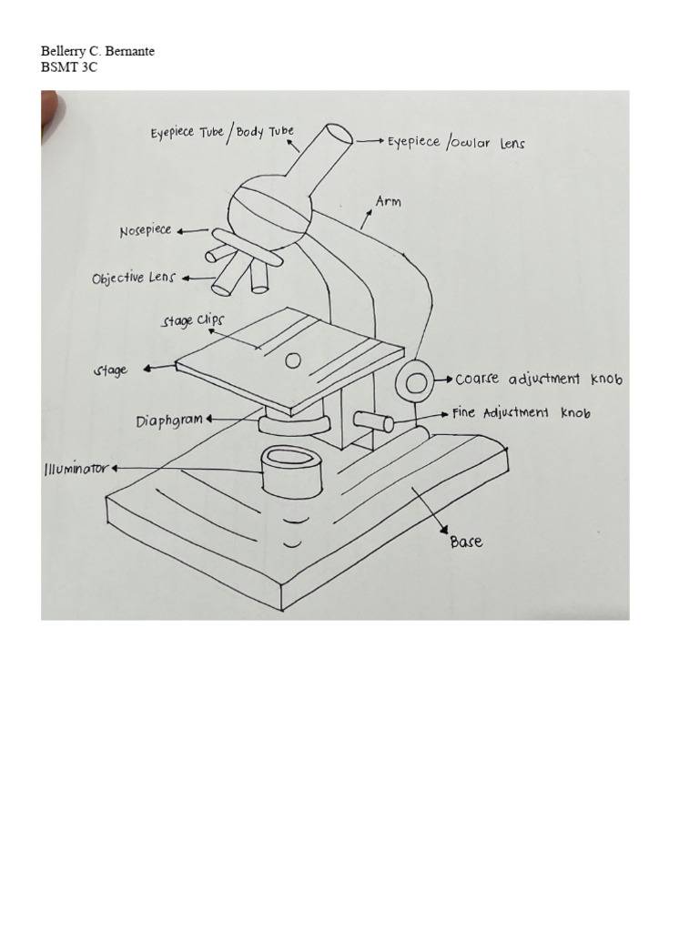 Activity 1 - The Microscope | PDF | Laboratory Equipment | Atomic