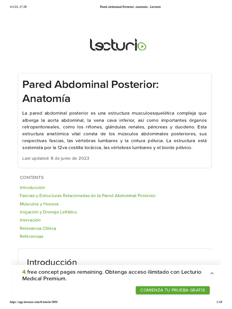 Pared Abdominal Posterior - Anatomía - Lecturio | PDF | Abdomen ...