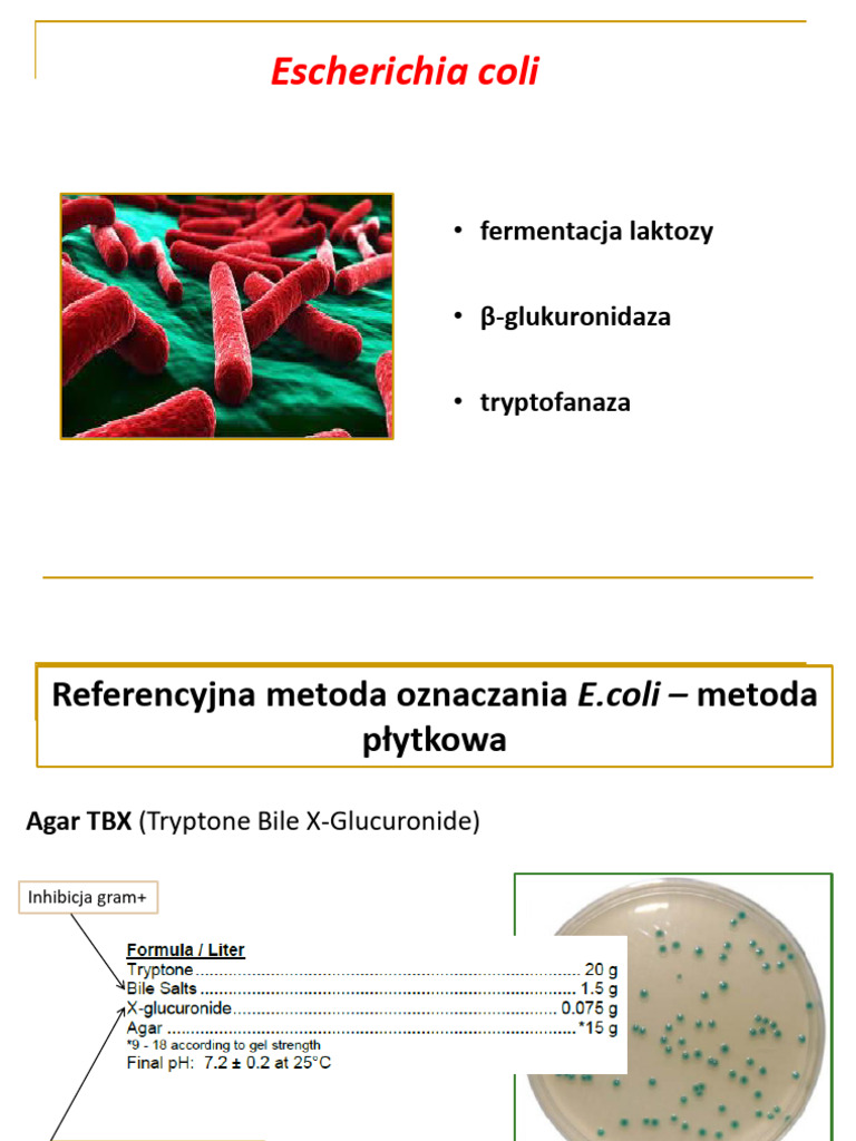 Metody Referencyjne 1 | PDF
