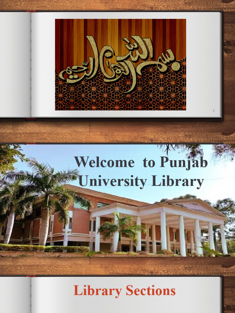 Final Orientation 2023 | PDF