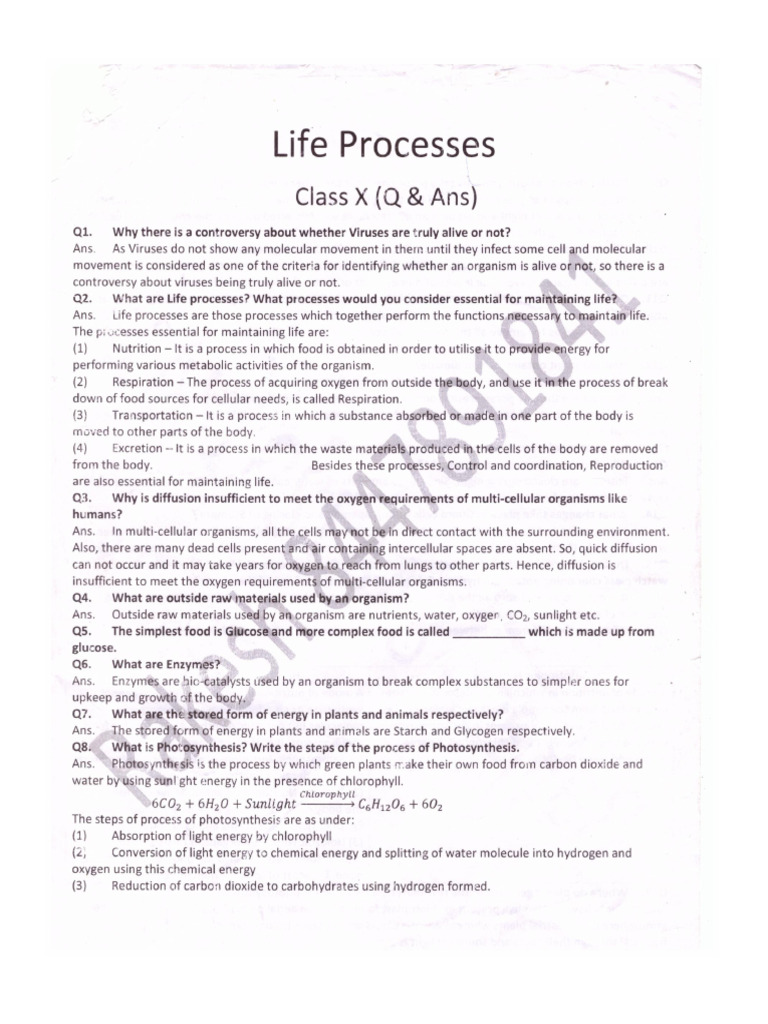 Class X S Life Processes | PDF