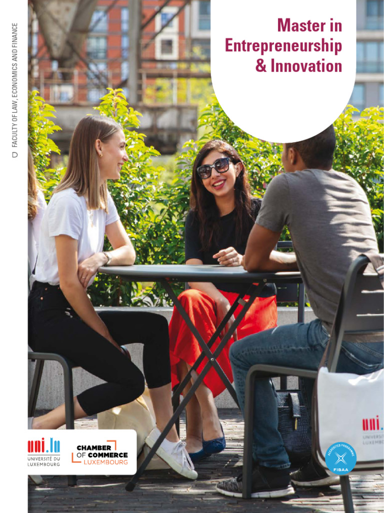 Brochure MEI4RMHrL | PDF | Entrepreneurship | Startup Company