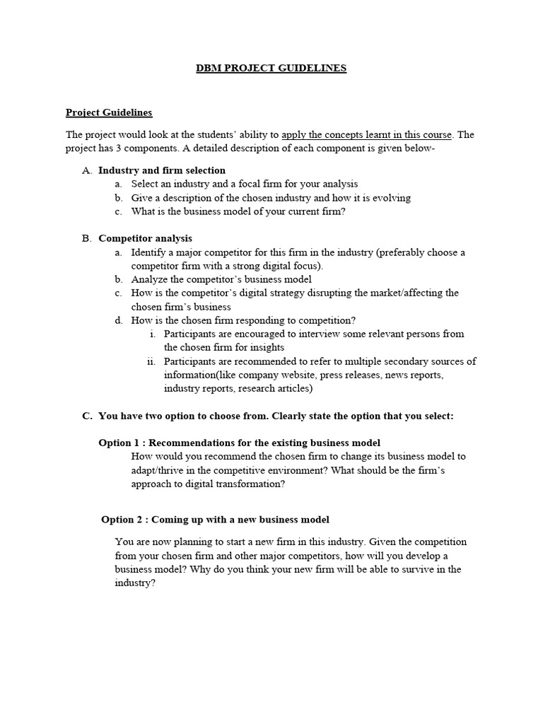 DBM Project Guidelines | PDF | Business Model | Human Communication