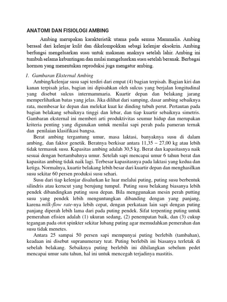 Anatomi Dan Fisiologi Ambing | PDF