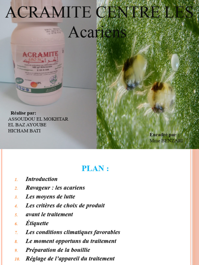 Nouveau Présentation Microsoft Office PowerPoint | PDF | Sciences et ...