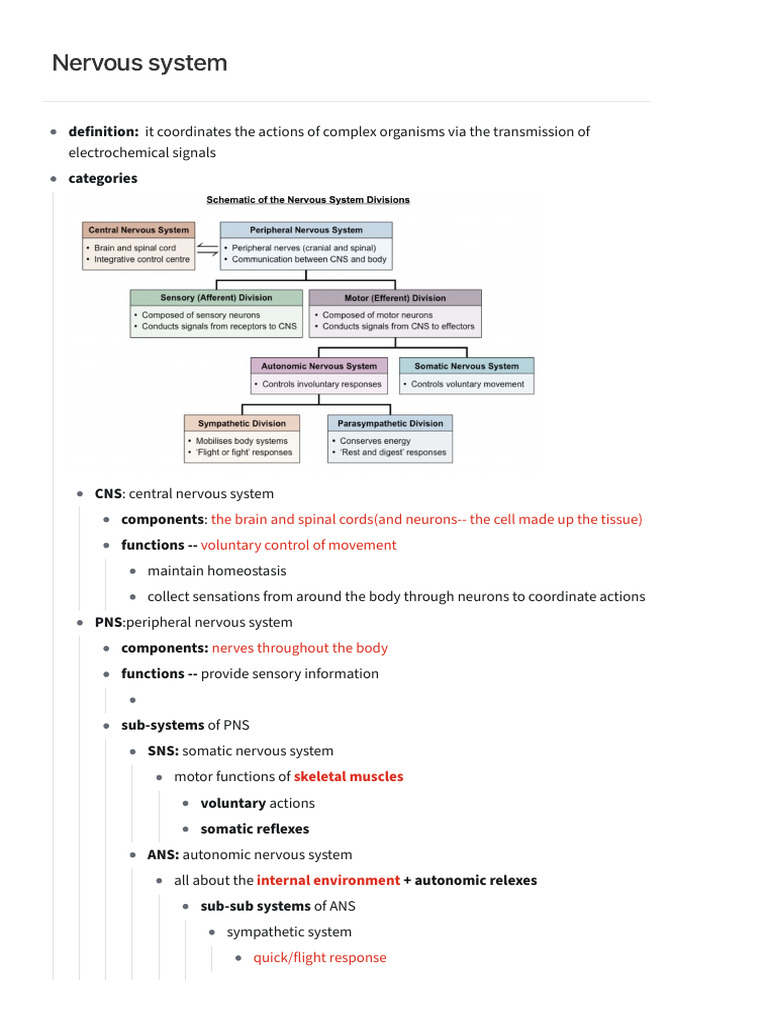 Nervous System | PDF | Self-Improvement | Science & Mathematics