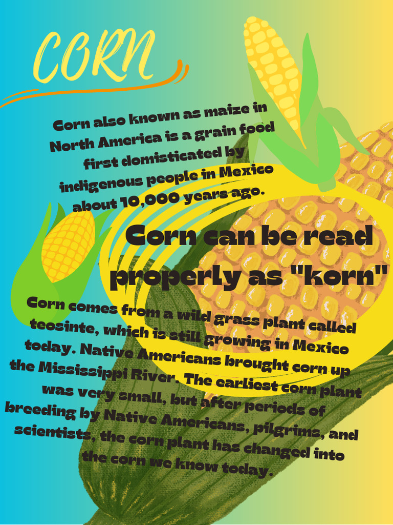 Corn | PDF