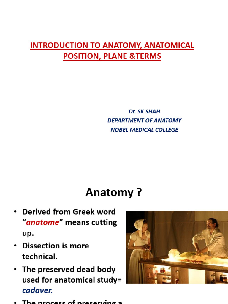 Introduction To Anatomy | PDF | Anatomical Terms Of Location | Anatomy