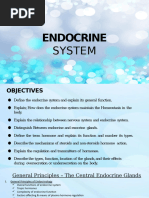 Grade 12 Endocrine System Notes | PDF | Endocrine System | Pancreas