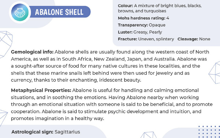 0150 Abalone Shell PDF | PDF
