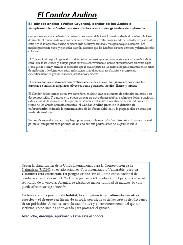 El Condor | PDF | Zoología | Aves