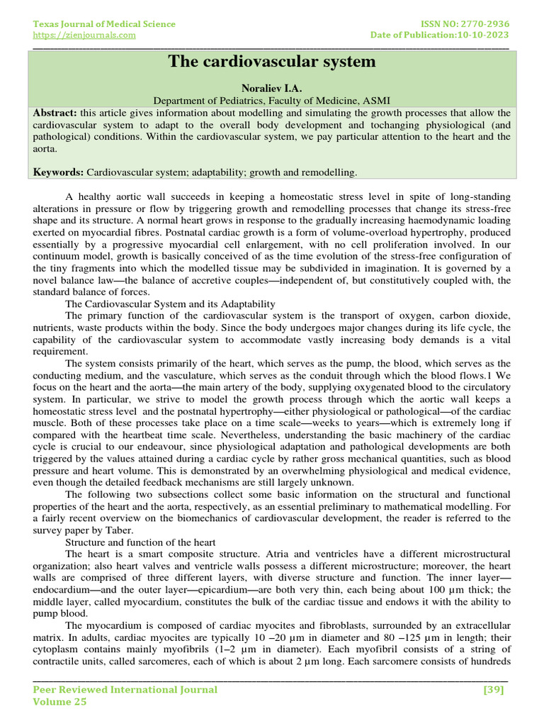 The_cardiovascular_system | PDF | Artery | Cardiac Muscle