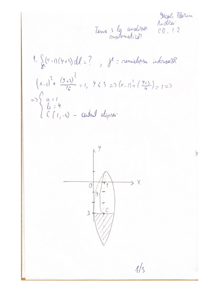 Iacob Florin Andrei | PDF