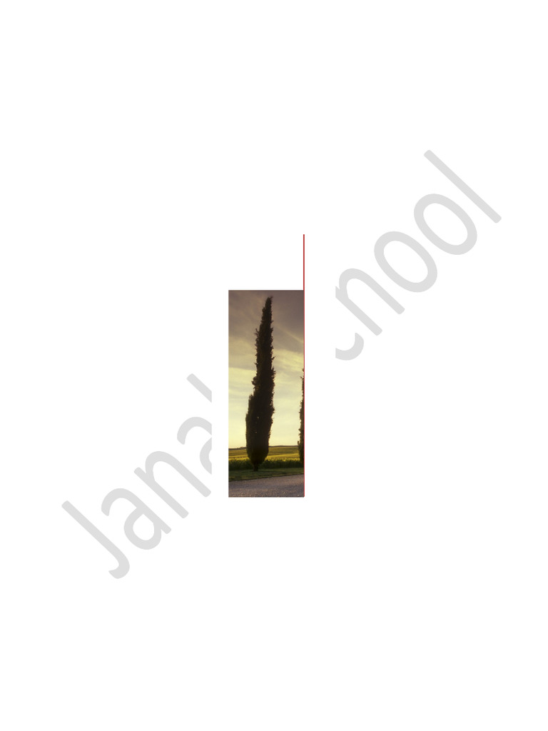 Unit 5 Programming Concepts | PDF | Programming | Computer Program