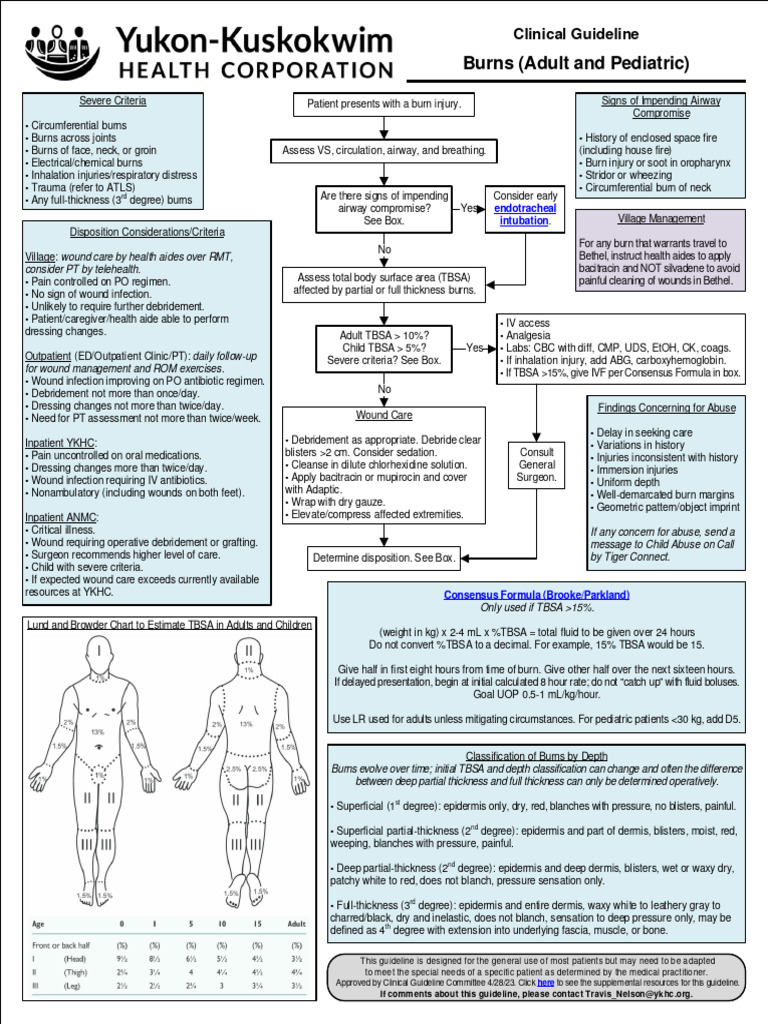 Burns Guideline | PDF | Burn | Wound