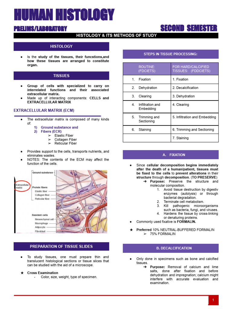 Histo 1 | PDF | Staining | Histology