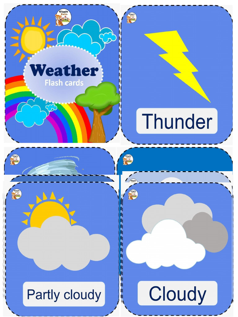 Flashcard Animals, Etc | PDF