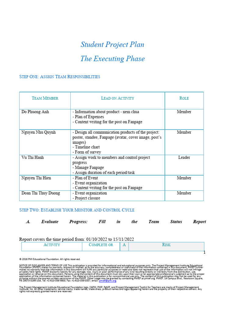 Student Project Execution Plan | PDF | Brand