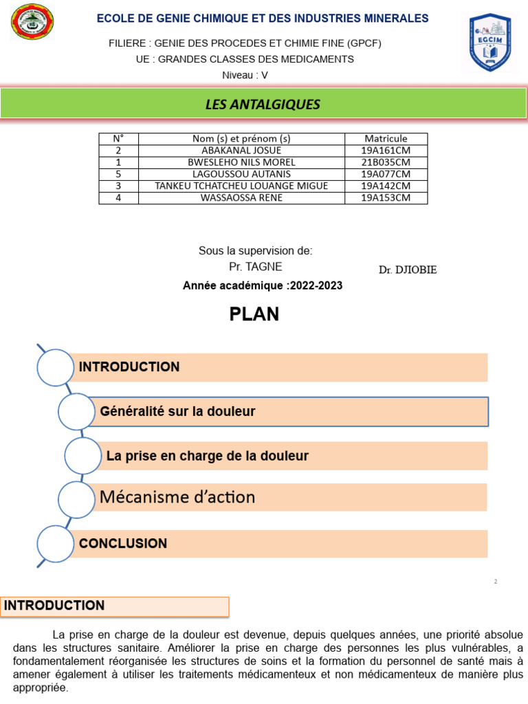 Antalgiques : Types et Prise en Charge | PDF | Antalgique | Douleur