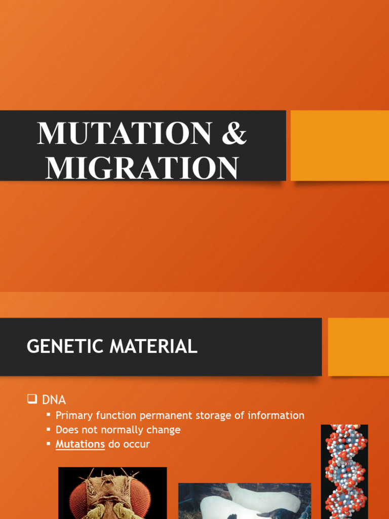 6 Mutation and Migration Pptx | PDF | Mutation | Gene