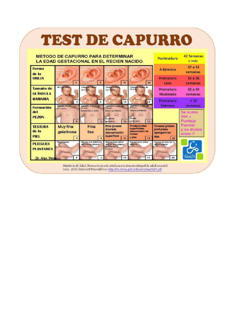 Capurro | PDF