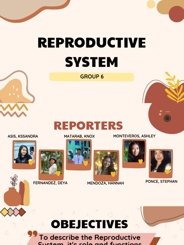 Reproductive System 1 | PDF | Reproduction | Reproductive System