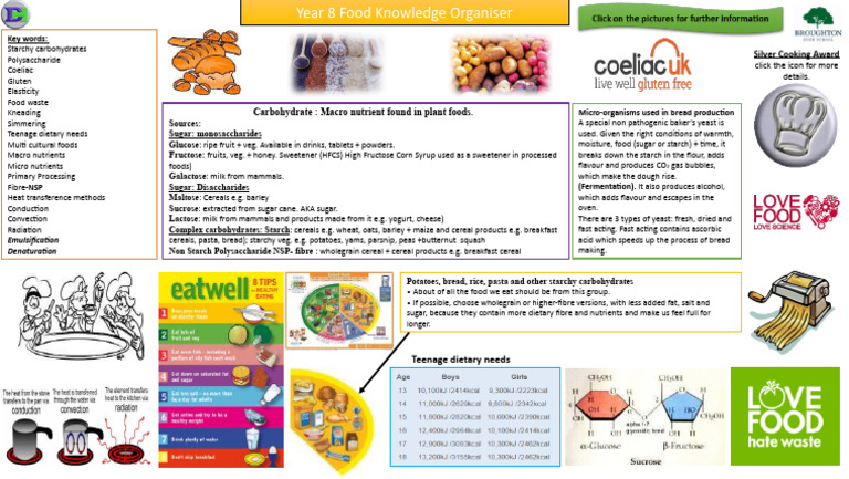 Year 8 Food Knowledge Organiser | PDF | Starch | Carbohydrates