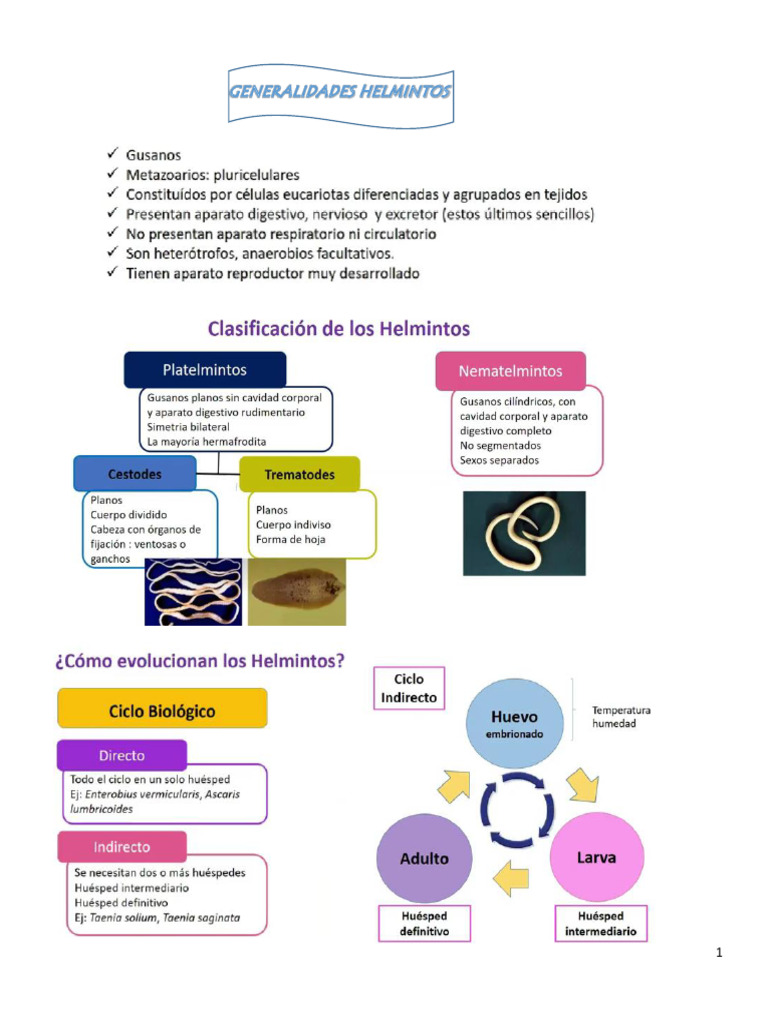 GENERALIDADES HELMINTOS | PDF